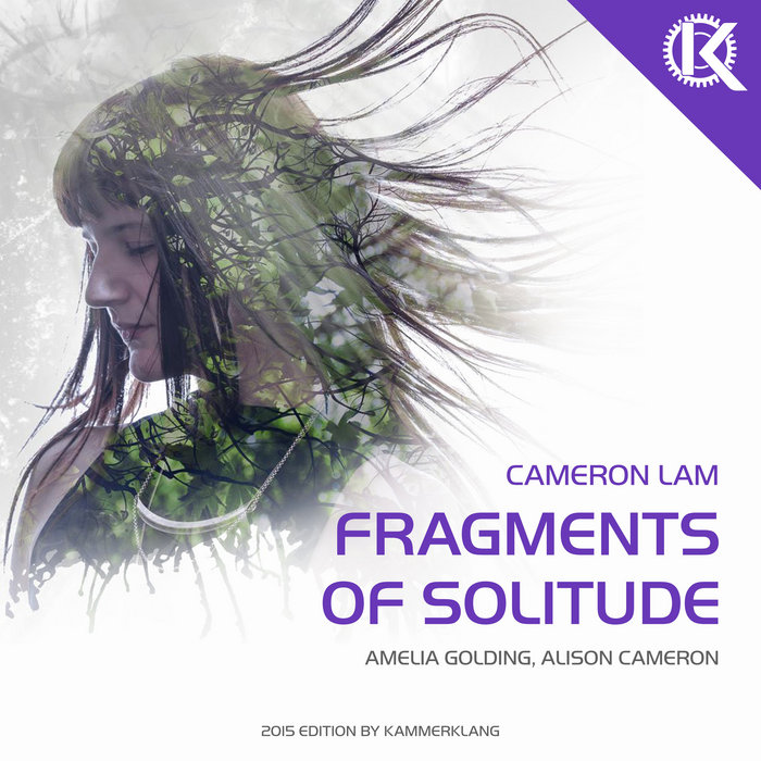 Fragments of Solitude | Cameron Lam