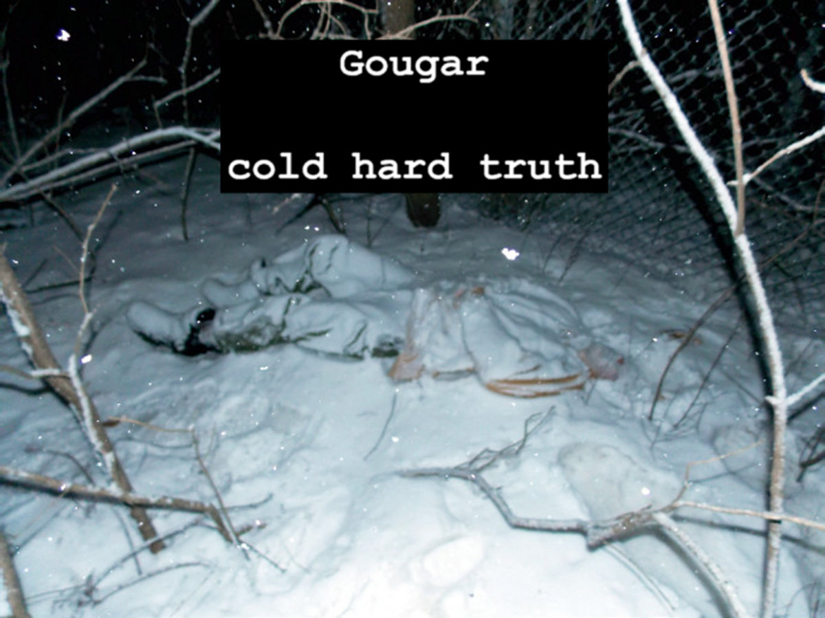 Cold Hard Truth | Gougar | Ghidorah