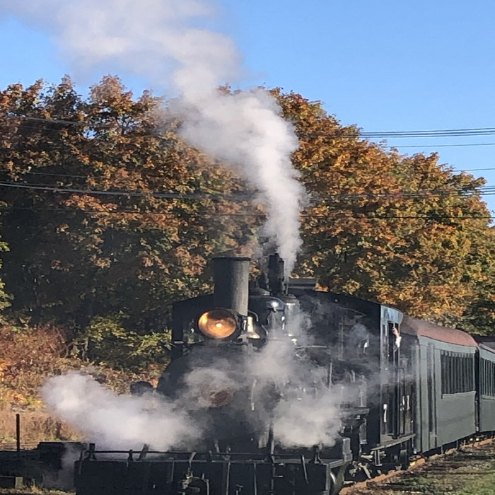 Train of thought | Alec Goss