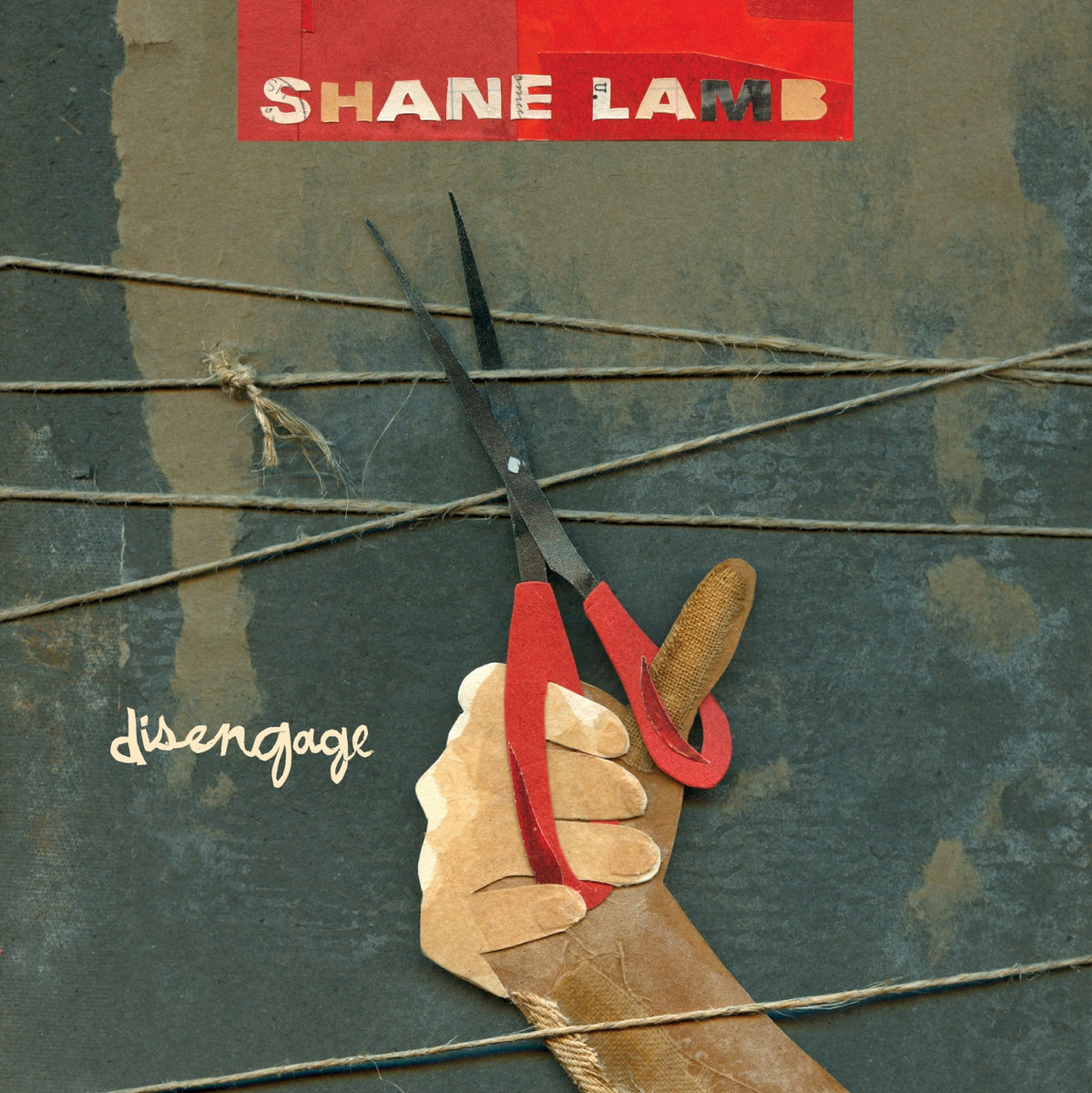 disengage | shane lamb