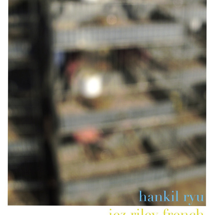 bird cage wallpaper | Jez riley French & Hankil Ryu | Jez riley French