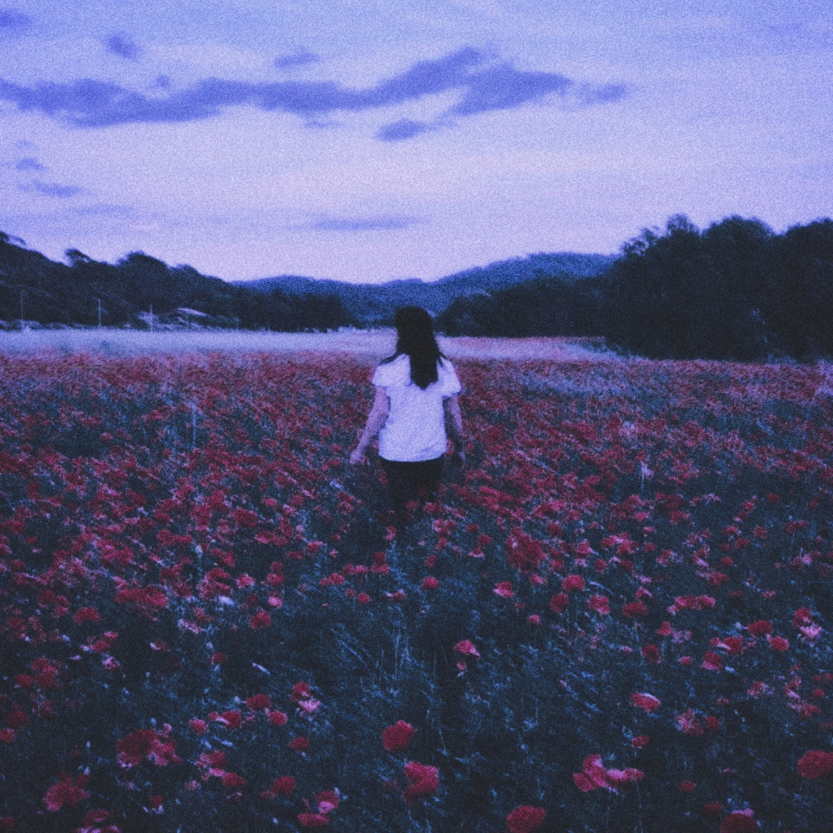 I will never forget | Sorrowful Life