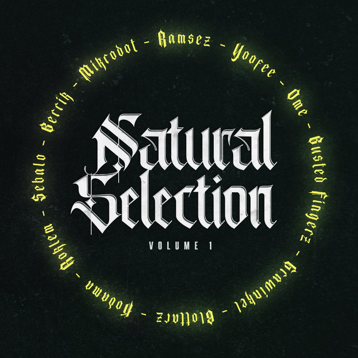 Natural Selection Vol. 1 (2x12" Vinyl) | Various Artists | SUB garden
