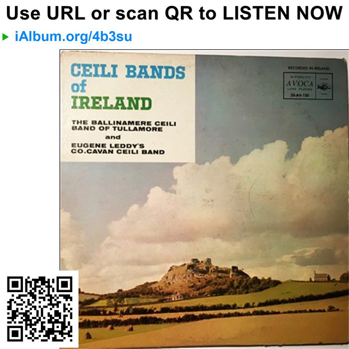 Ceili Bands of Ireland | The Ballinamere Band of Tullamore