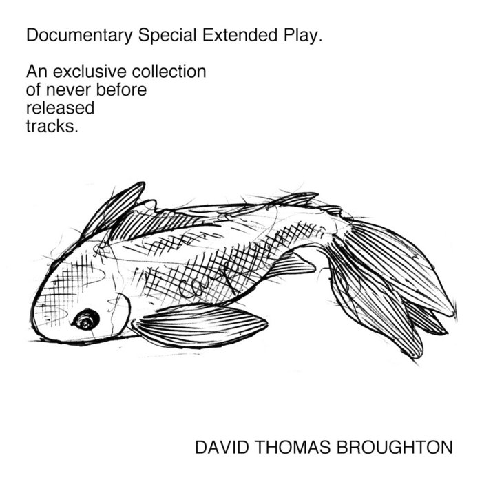 Documentary Special | David Thomas Broughton