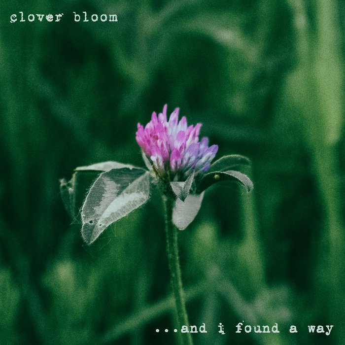 clover bloom | ...and i found a way