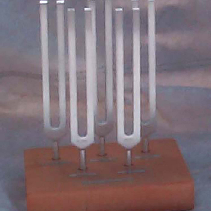 Biosonic Brain Tuner™ Protocols(SH) | John Beaulieu | Biosonics