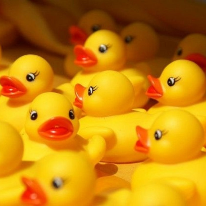 Acid Granny X Post Punk Podge - Quack | Post Punk Podge & The Technohippies