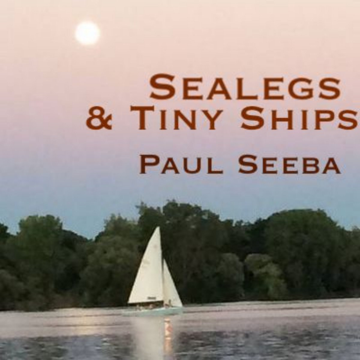 Sealegs & Tiny Ships | Paul Seeba