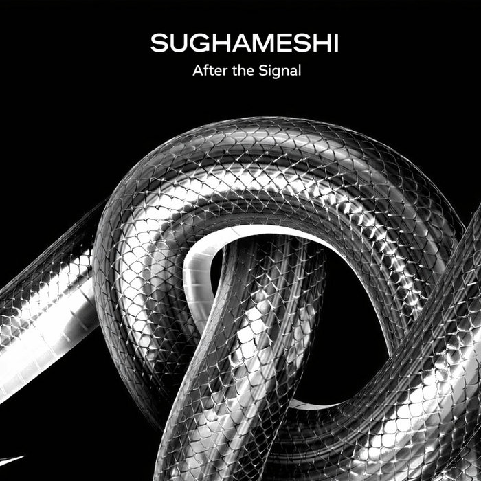 After the Signal | Sughameshi