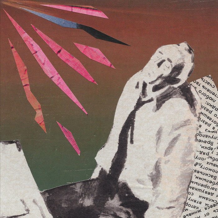 4-way Split | Viva il ficus!