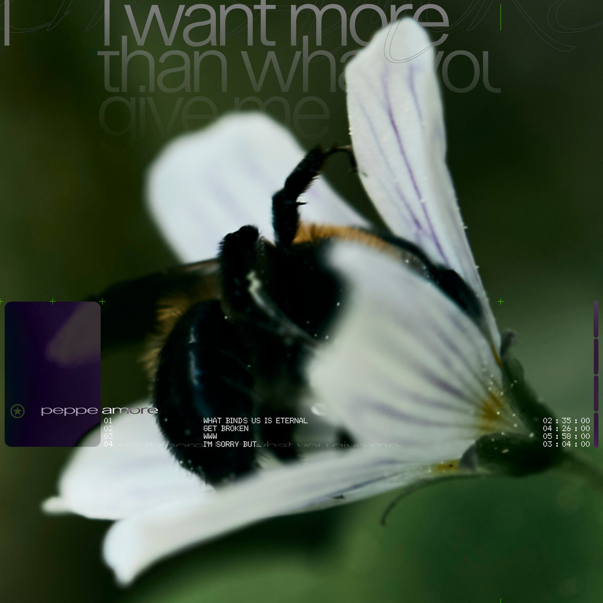 I want more than what you give me | Peppe Amore