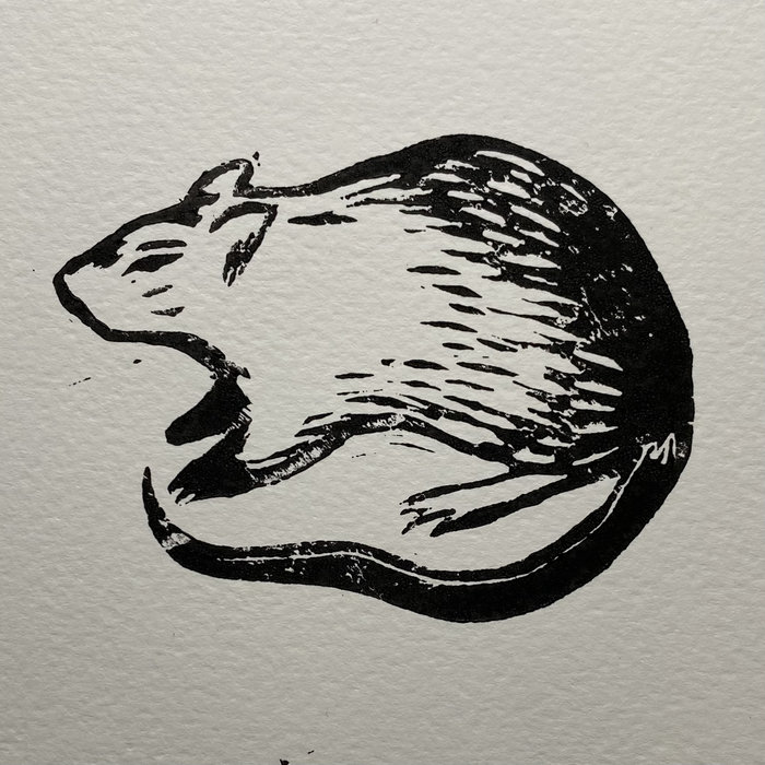 The Black Deck | CRYPT RATS