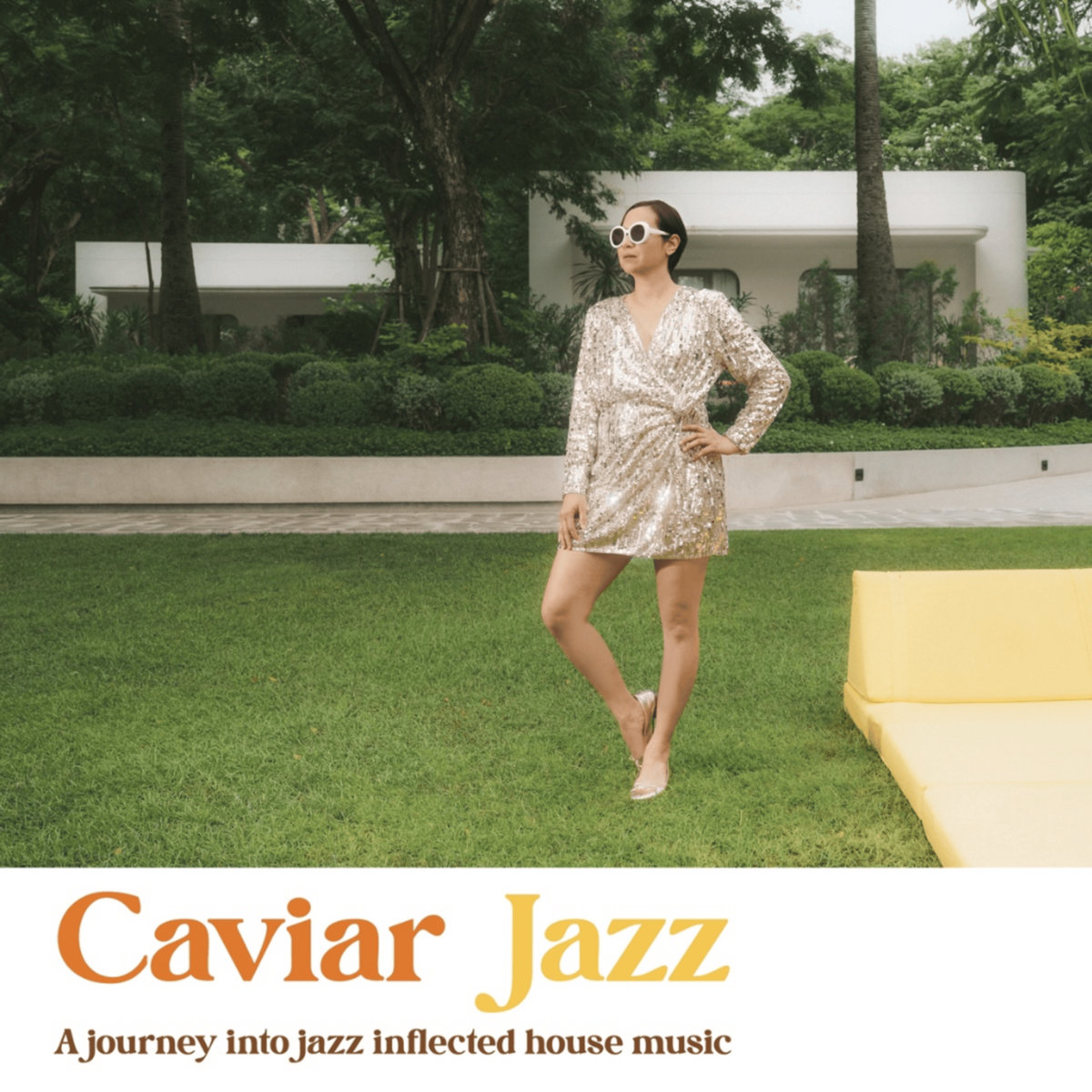 CAVIAR JAZZ - A journey into jazz inflected house music | Various ...
