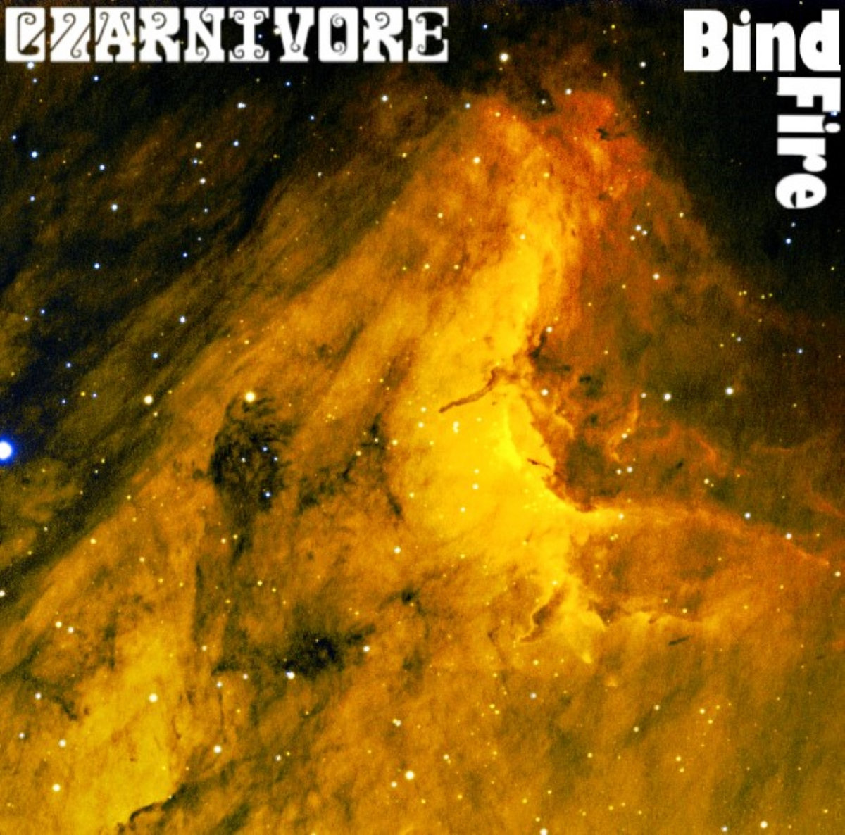 Bind Fire | Czarnivore