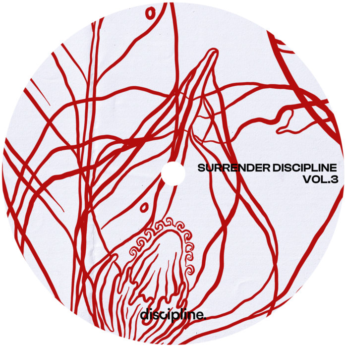 Disco Bliss | Surrender Discipline | Discipline