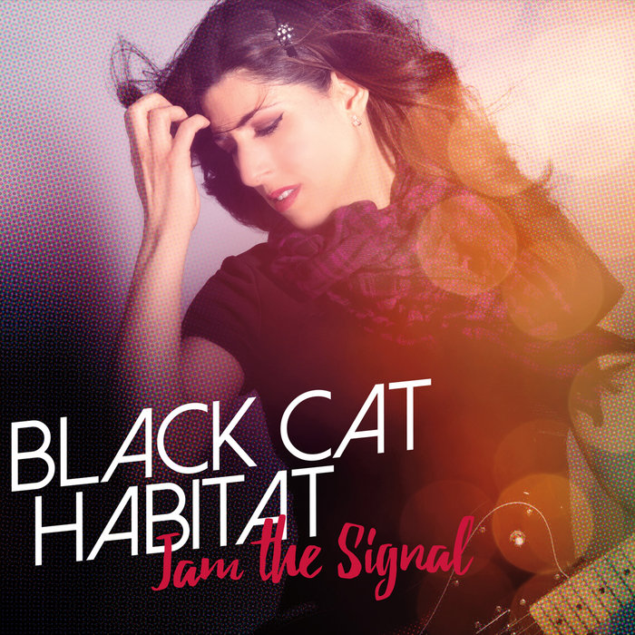 Jam the Signal | Black Cat Habitat