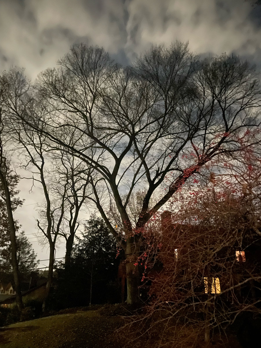 November and More | Alice Deville's Hard Drivers