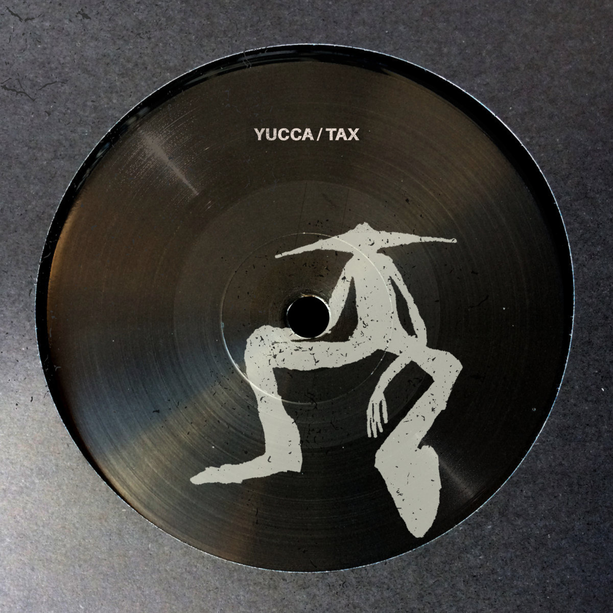 YUCCA / TAX | POLO JAFFA