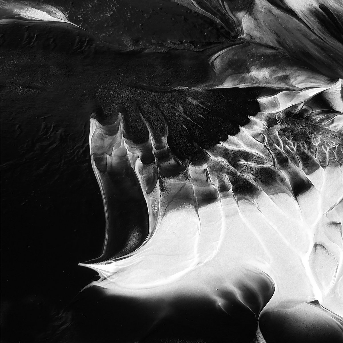 Oscillations | Benjamin Louis Brody