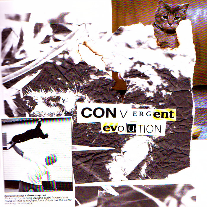 Convergent Evolution | Victim Unit