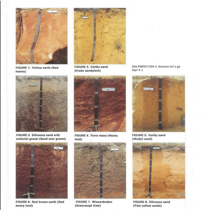 SPF 4+ | Sun Protection