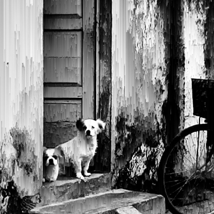 Dog House | Meth Enthusiast | purplegirl