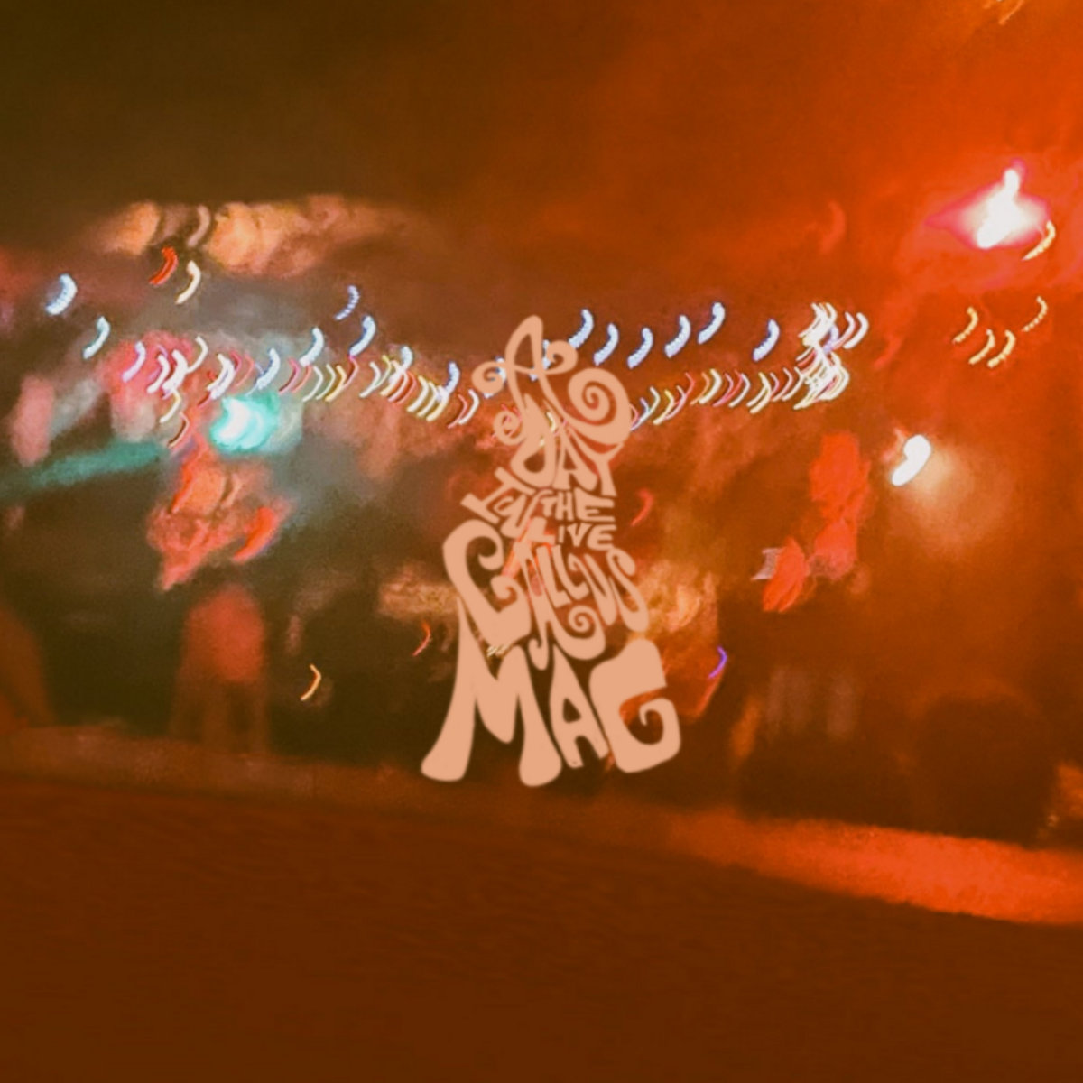 A Day In The Live | Gallus Mag