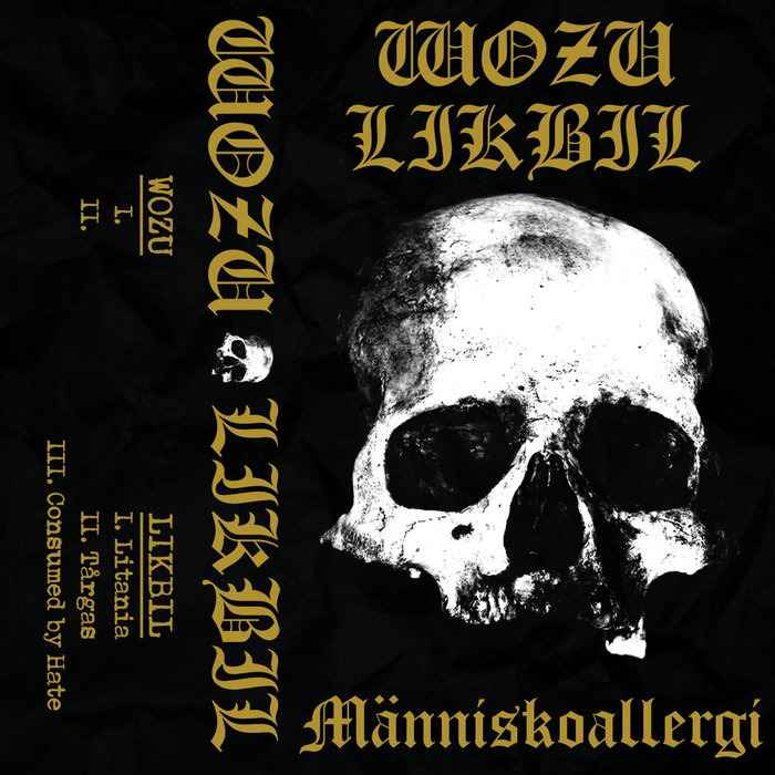 Människoallergi | WOZU, Likbil | Likbil