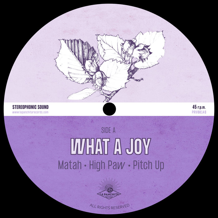 Matah, High Paw, Pitch Up - What a Joy (La Panchita Records, 2024 ...