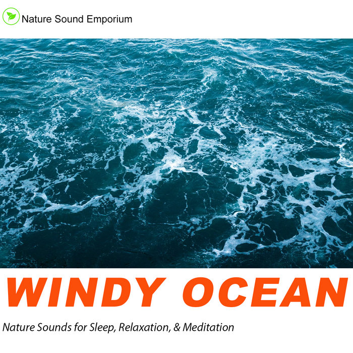 Windy Ocean - Nature Sounds | Nature Sound Emporium
