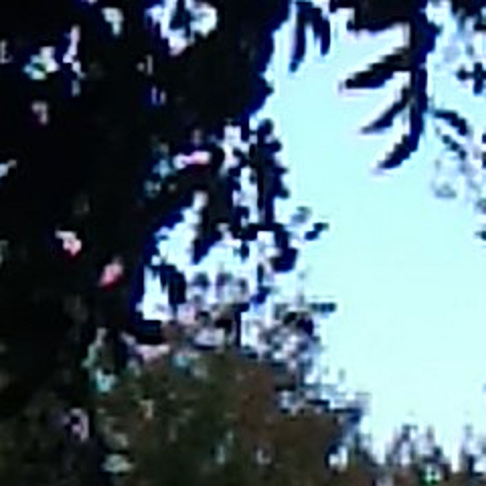 From Inside | Subedei