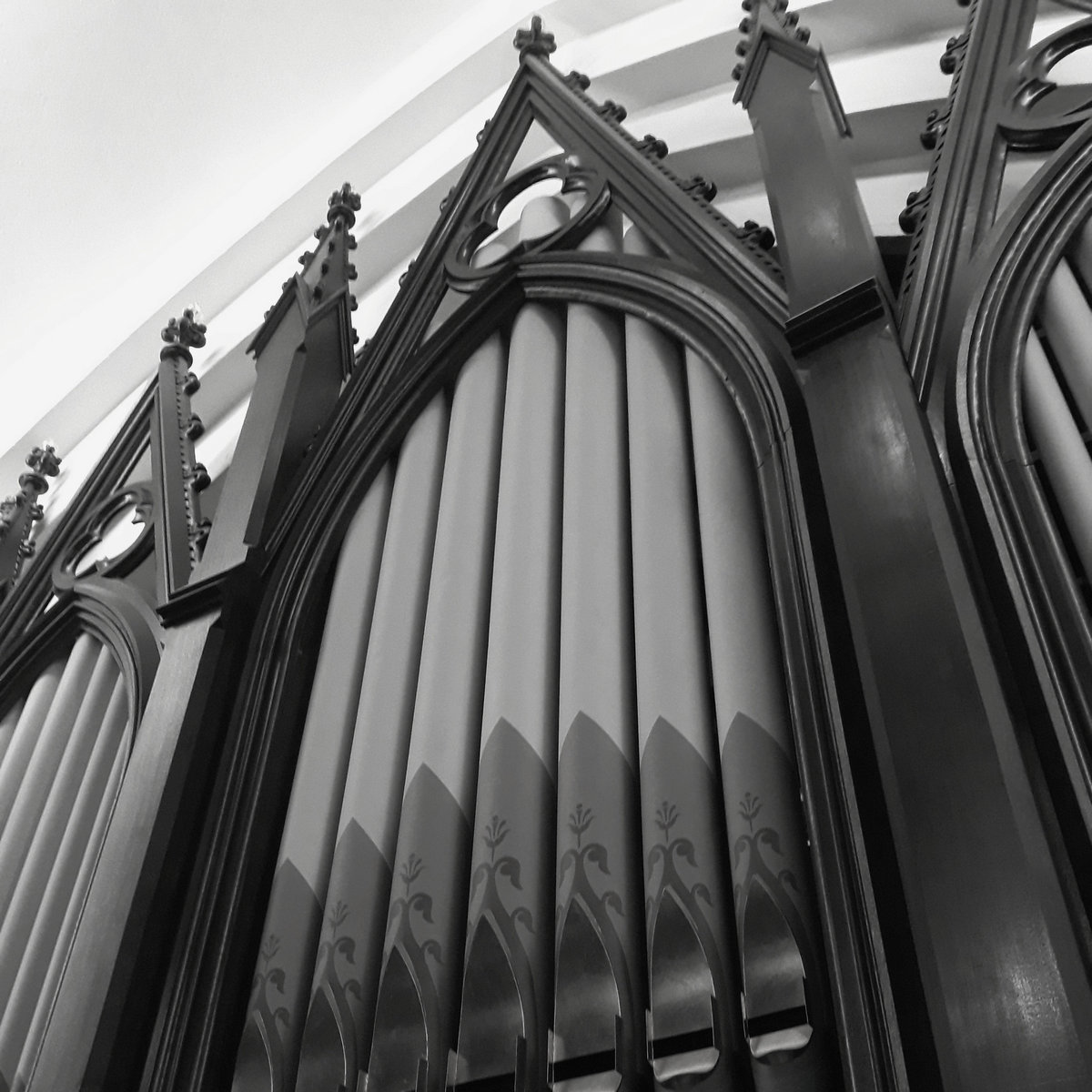 Organ Works | Colin Frey