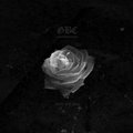 nuts [ft lil skil] (prod. willie g) | LiL PEEP