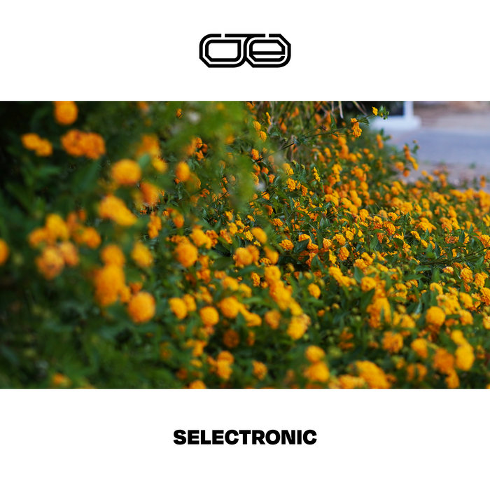 Selectronic | One Eye Witness