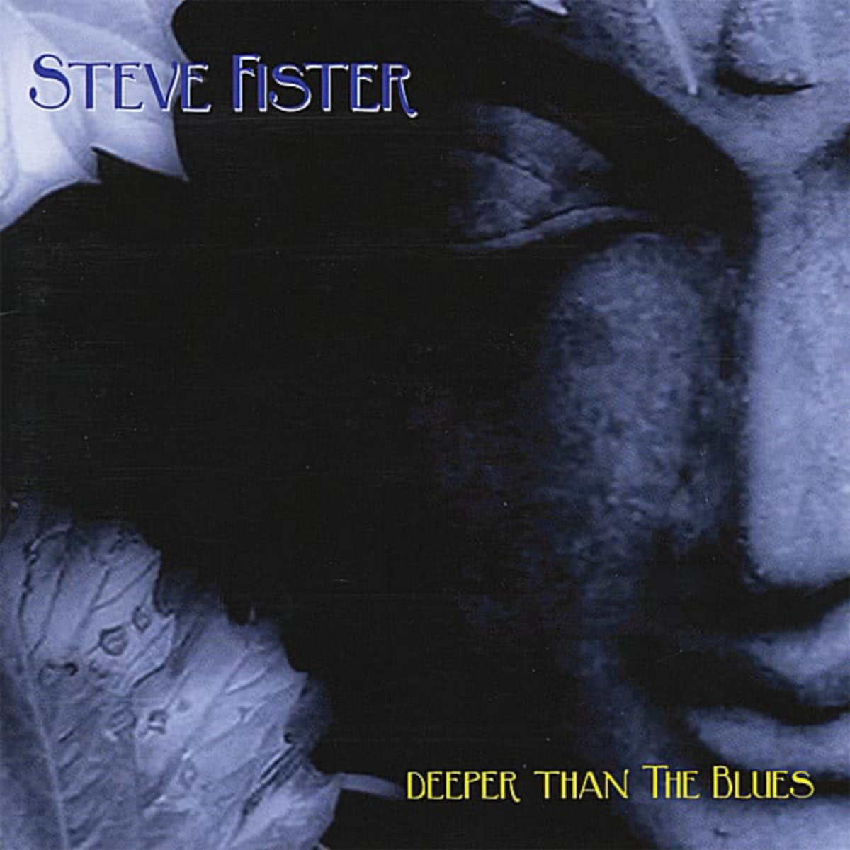 Deeper Than The Blues | Steve Fister