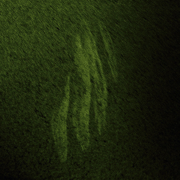 Lo-Fi Scuzz & Buzz | Anthony Osborne