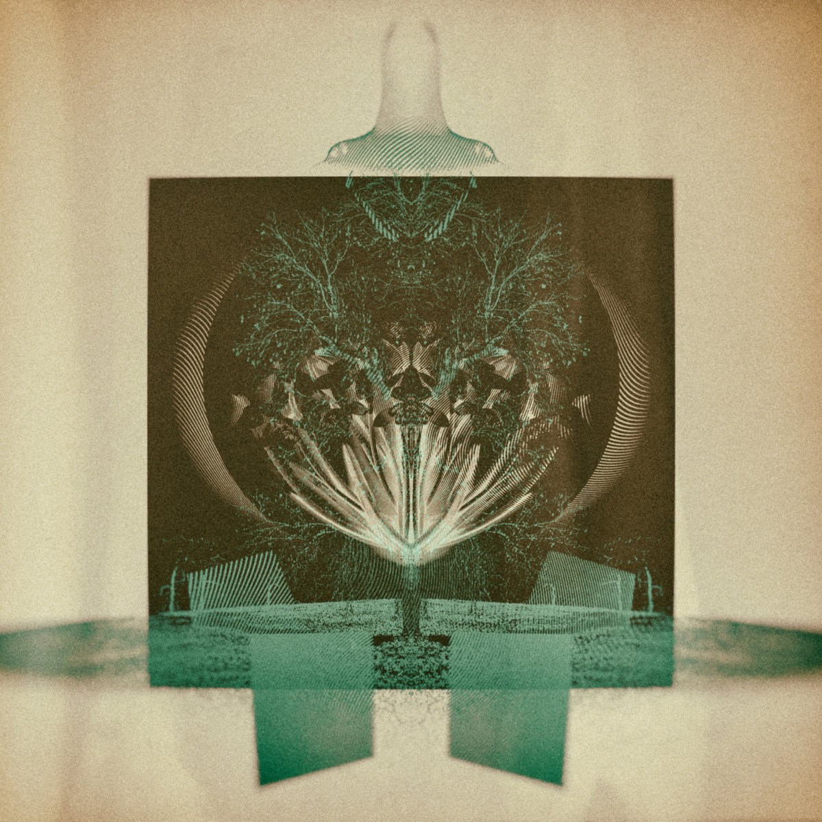 Verism | Peter Kvidera | whitelabrecs