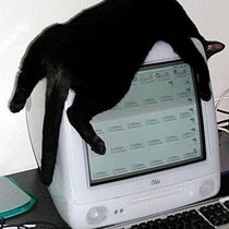 Subscribe to TOKYOPILL | TOKYOPILL