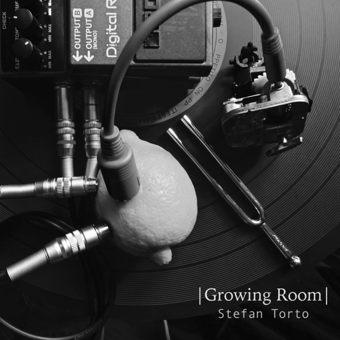 Growing Room | Stefan Torto