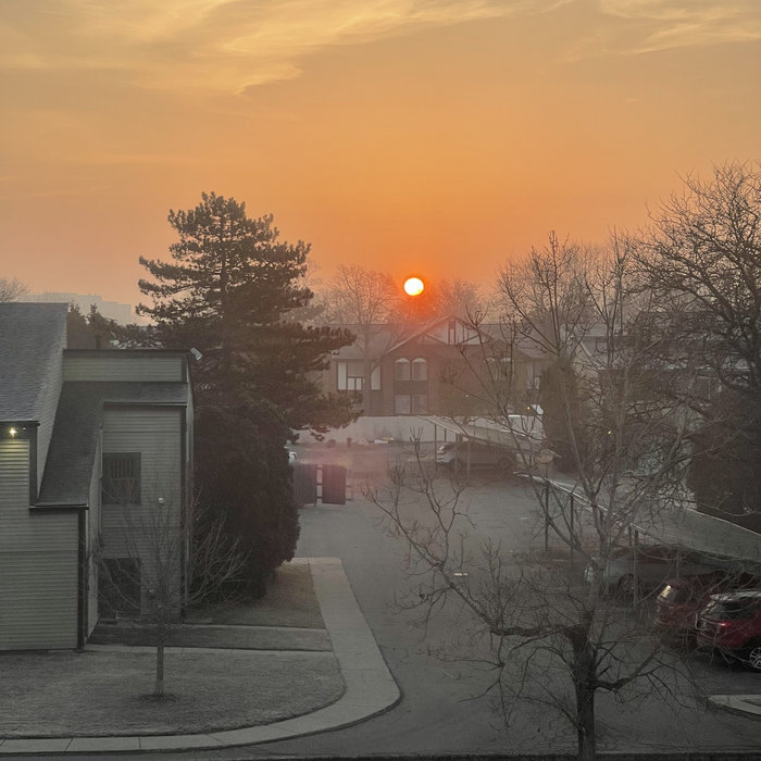 Musical Adventures | SymphonicRon