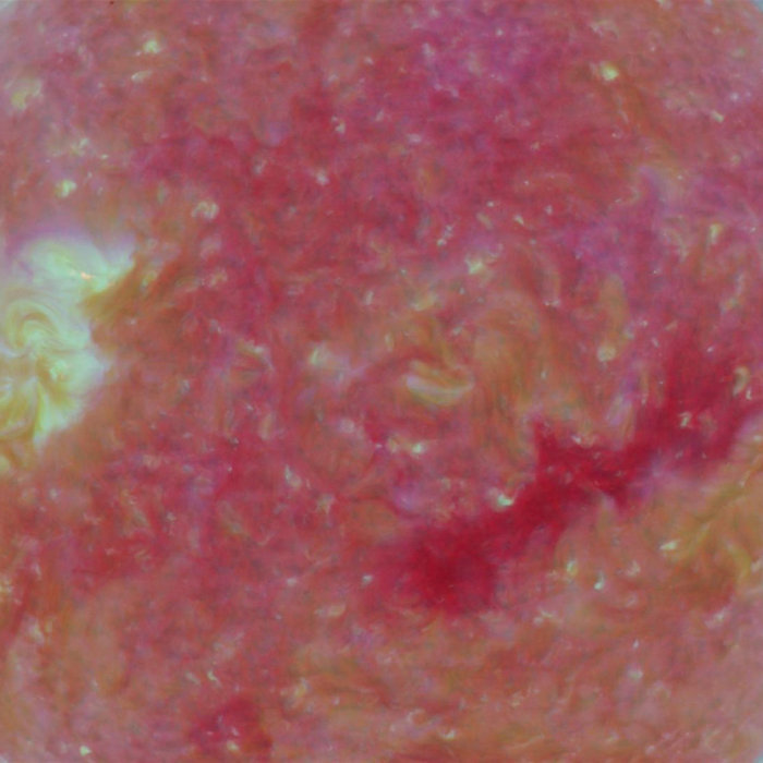 Inverted Vision | Alyssa Moore