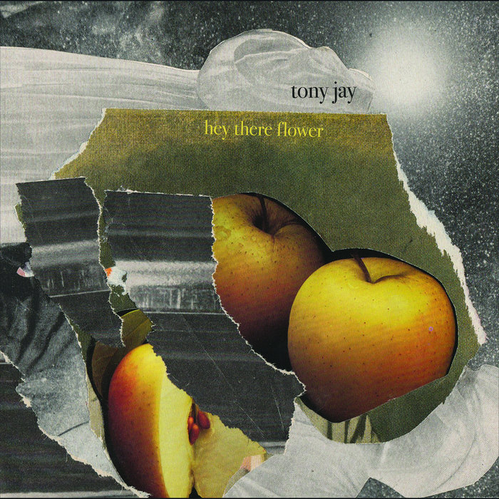 Hey There Flower | Tony Jay | Mt.St.Mtn.