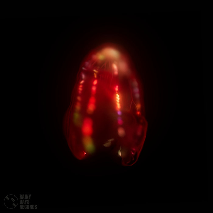 Bloody Belly Comb Jelly | Andrew Krasilnikov | Rainy Days