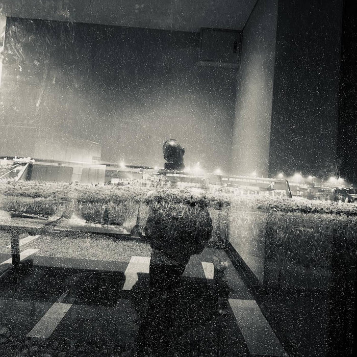 UNTIL THERE IS NOTHING LEFT | LIKE WEEDS