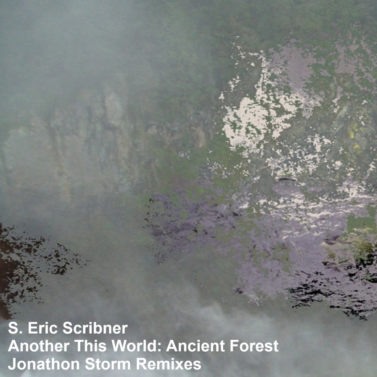 Another This World: Ancient Forest (Jonathon Storm Remixes) | S. Eric ...