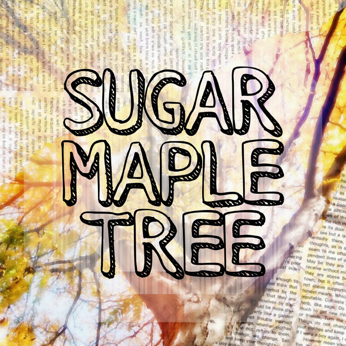 Sugar Maple Tree | Kelseidoscope