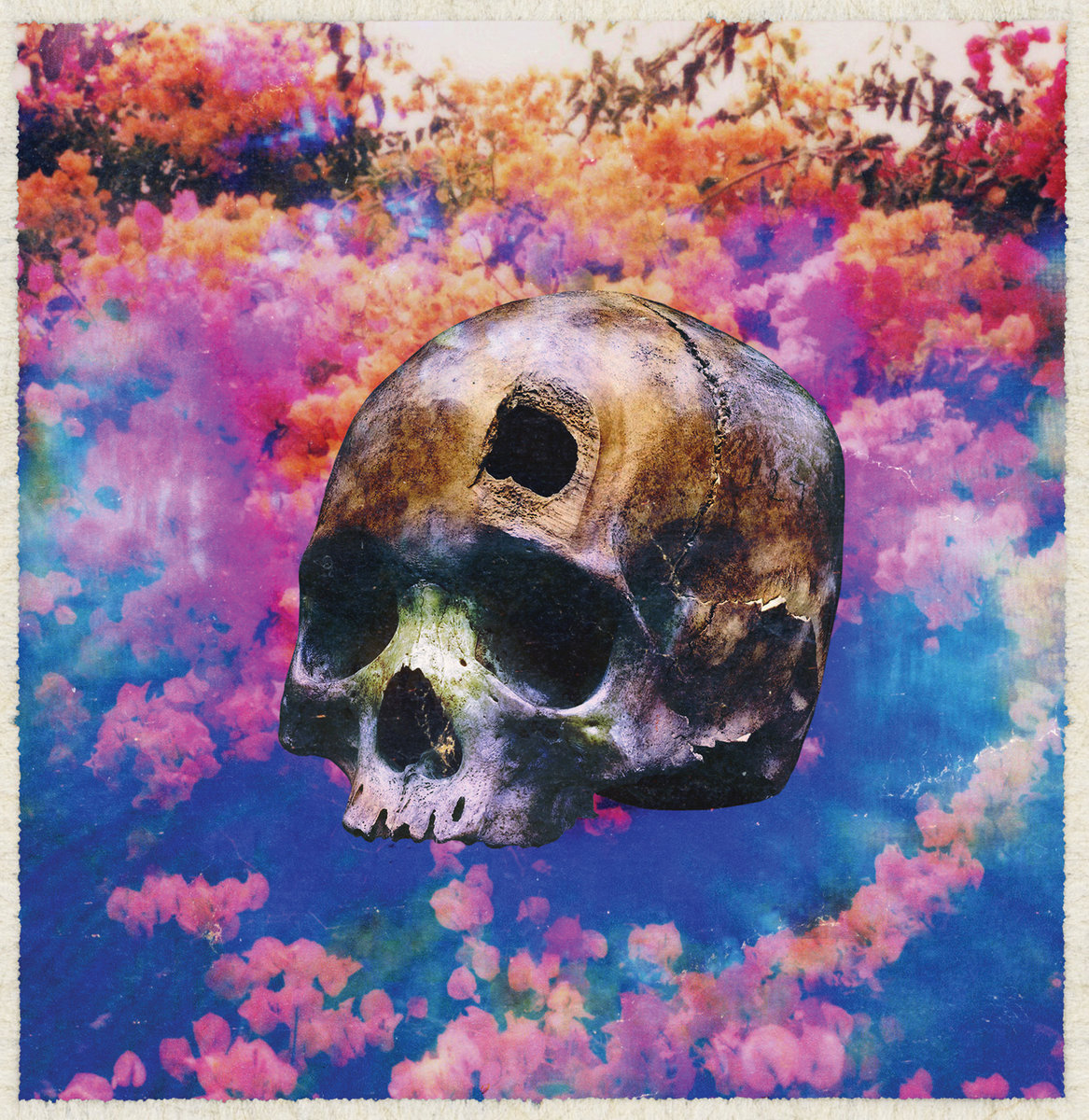 Summer 3D / Weekends | WESTKUST