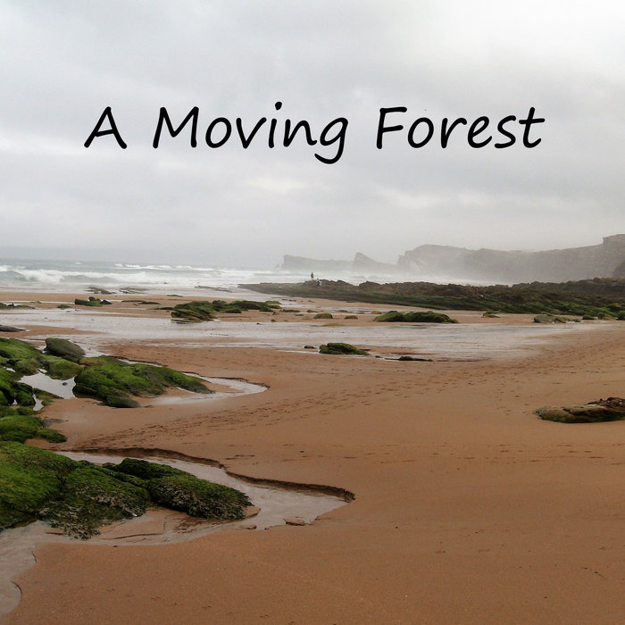 A Moving Forest | A Moving Forest