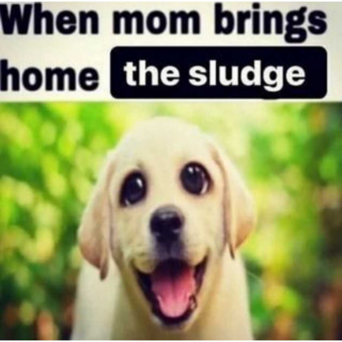 Hexagonal Treatment | Max Pavey Archive